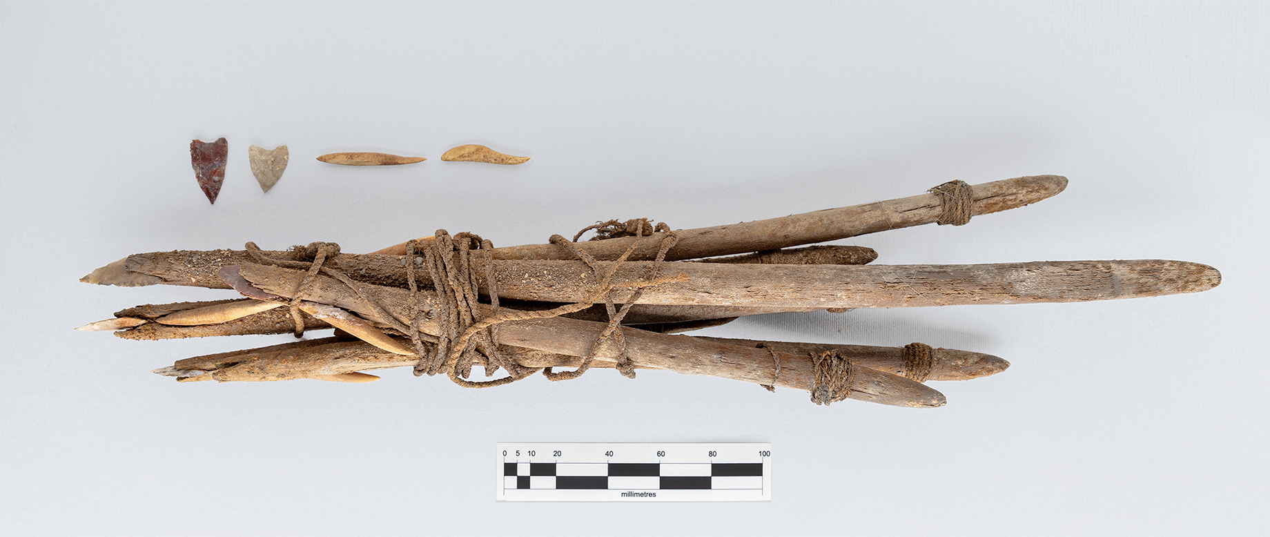 Patrimonio a un clic: Arpones que develan la historia tras el artefacto ...