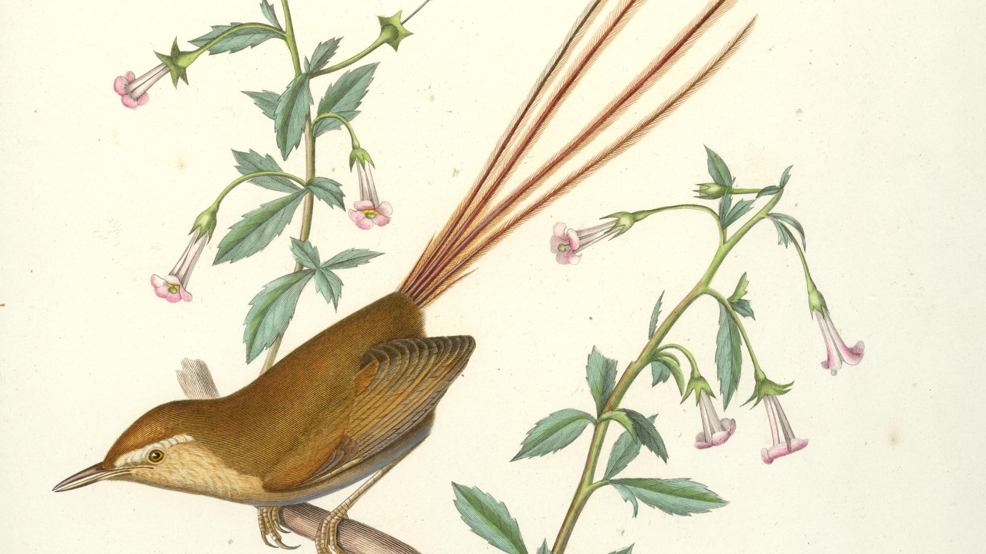 Patrimonio a un clic: Tesauros para la terminología cultural | Servicio ...